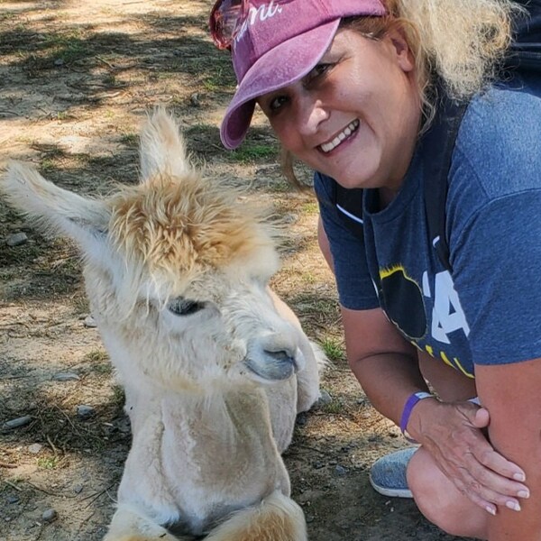 Number Blocks 7 SVG Cut File, Layered Cutting File, Number Blocks SVG ...