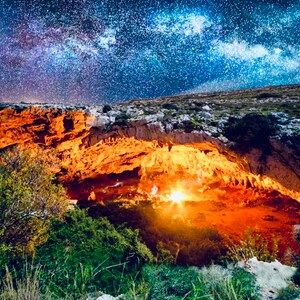 White Rabbit Wall Pocket, Rabbit Pocket Posey, White Rabbit With ...