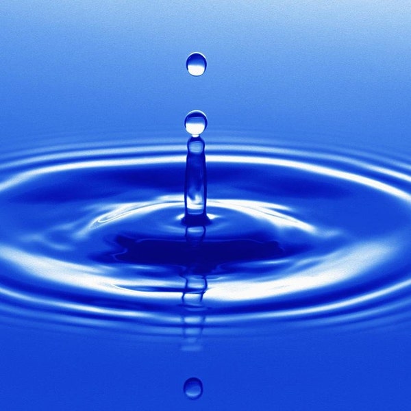 Antique Trunk Casters Rollers Victorian Vintage Cast Iron Repair ...