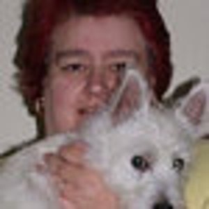 Luna From Sailor Moon 3D Printable Model Files - Etsy