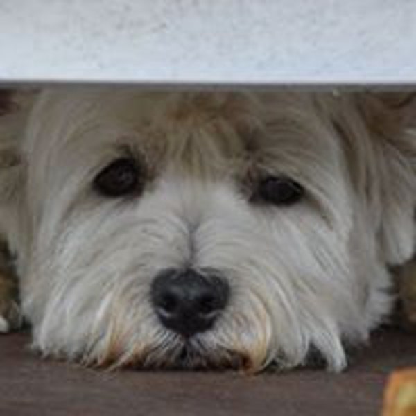 Teacher Rainbow Poem, Elementary Teacher Appreciation Printable ...