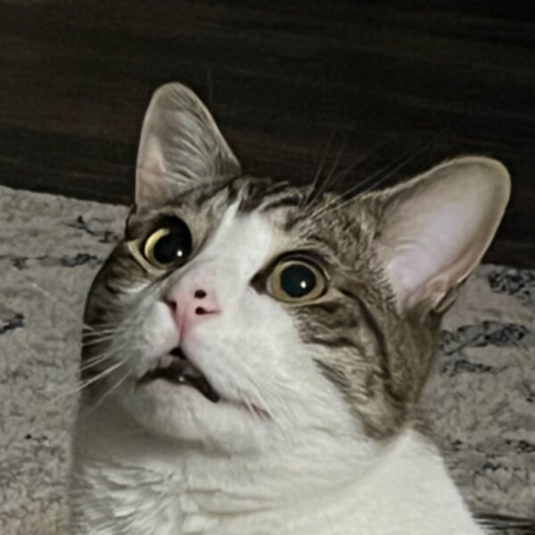 Custom Daisy Pajamas, Green Custom Pajamas, Daisy Pajamas, Bridesmaid ...