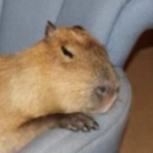 Splatoon Squid Sisters Deep Cut off the Hook Nintendo Vinyl Stickers - Etsy