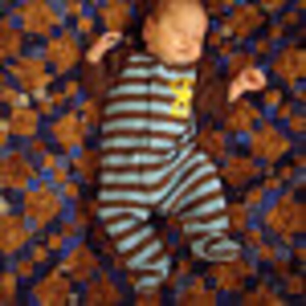 Then Came June Meadowland Quilt Pattern - Etsy