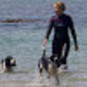 Upcycled Horseshoe 3/4 Size Stag & Doe Garden Sculpture Garden Yard Art ...