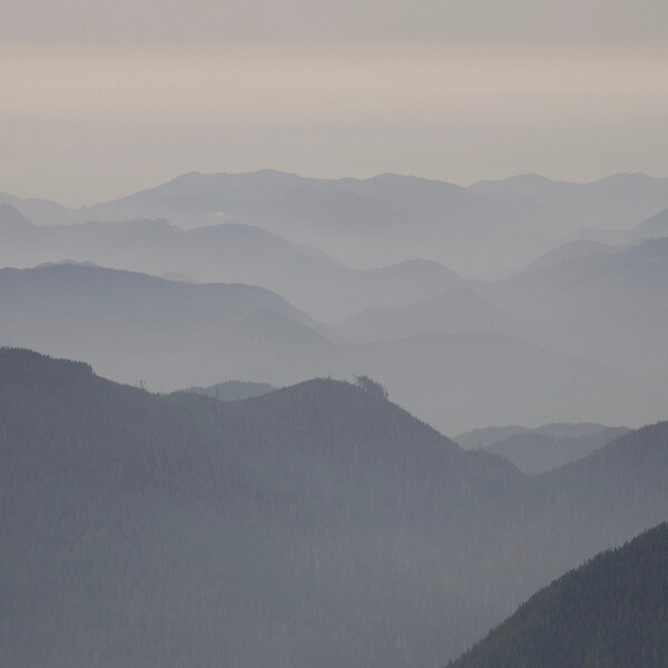 H.C. Holling 1936 Childrens Art Print Cowboy on Horseback Southwest ...