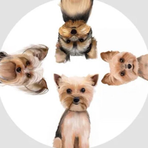 Always Welcome Quilt Pattern by Coach House Designs Farmhouse Quilt ...