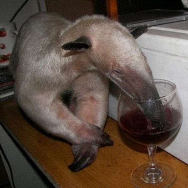 A Huevo Sticker Funny Sayings Pelicula De Huevos Cultura Mexicana ...