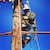 Work to Live- Decal Weatherproof Vinyl Lineman Sticker-hard Hat Sticker ...
