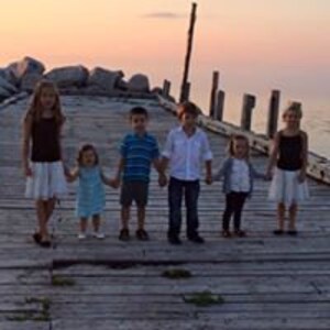 Tomston the Seagull Sewing Pattern Plush / PDF Soft Toy Bird Sewing ...