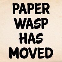 PaperWaspNest - Etsy