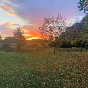 Printable Capybara Valentine's Day Cards Capybara Classroom Valentine's ...