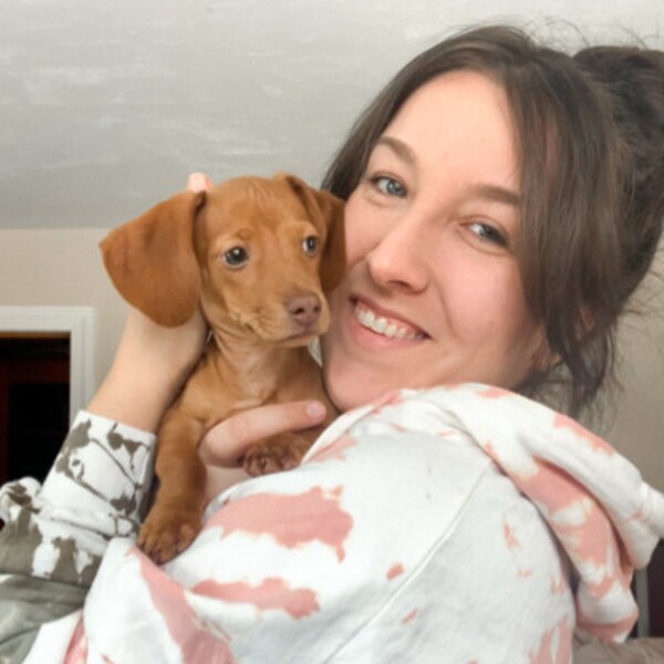 Cow Print Libbey Glass Wrap Svg, Cow Head Pattern Animal Print 16oz ...