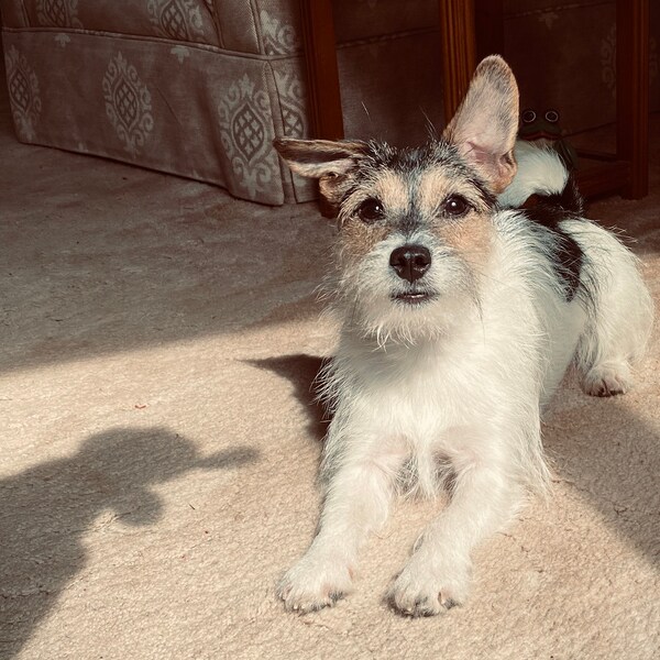 Good Luck Wishing You All the Best Neutral Stars Wooden Gift Heart ...