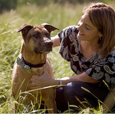 HappyHoundBakeshop - Etsy