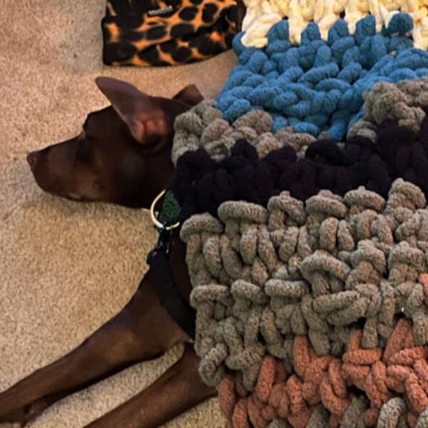 16G Skull Bird Septum Ring/dead Moth Hinged Segment Septum Jewelry ...