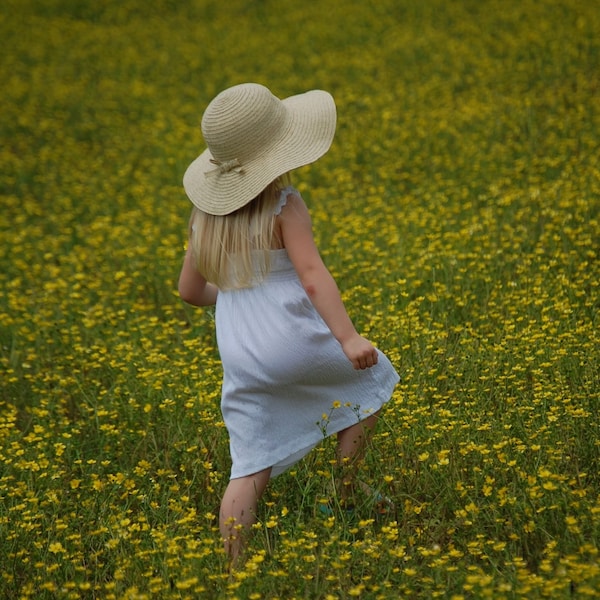 Little Miss Daisy Lou Mr.men Sticker Bumper Sticker, Meme Sticker ...