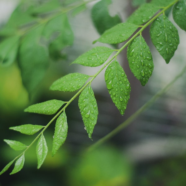 Pastel Triangles Geometric Digital Paper Pack Pastel Triangle Pattern ...