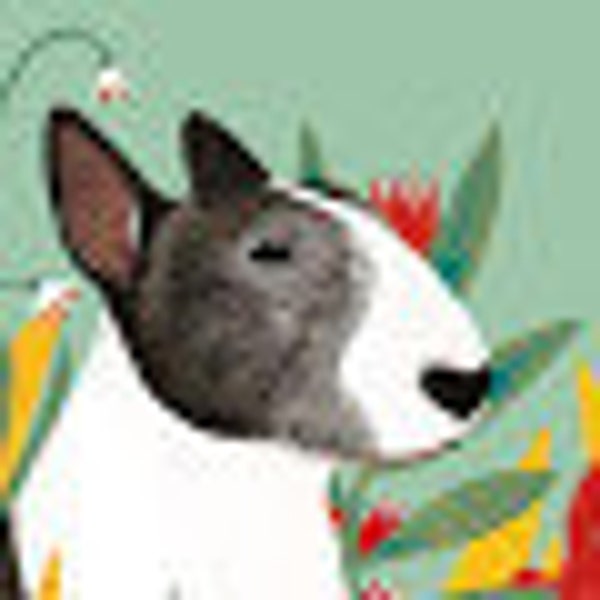 1886 L'illustration Horticole Angraecum Citratum comet Orchid ...