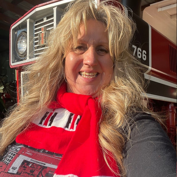 Abner Mouse...butterfly Catcher E-pattern - Etsy