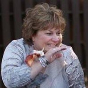 HUSQVARNA VIKING ROSE 605 Sewing Machine Owner's Manual Guide Download ...