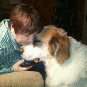 Essential Color Card Deck for Your Toolbox and a Great Gift for ...