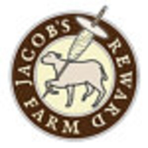 Saint Phoebe Αγία Φοίβη, Hand Painted Orthodox Byzantine Icon. - Etsy