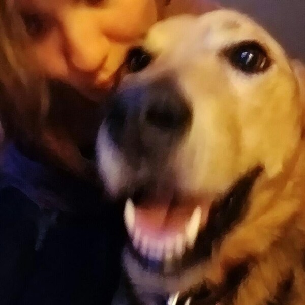 Classically Trained Video Games .svg .png .pdf .eps .dxf Instant ...