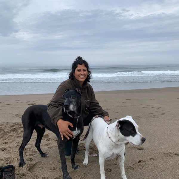 Vintage Gibson Greeting Mini Bunny Plush Rabbit Stuffed Animal 5 Easter ...