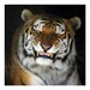 Star Wars Inspired Greeblie Assortment 2 3D Printable STL Files - Etsy