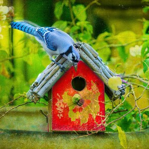 Photoshop Tutorial Actions/ Classic Portrait Fine Art Editing Tutorial ...