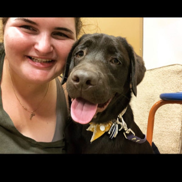 Ratatouille, Little Chef, Remy Inspired Mickey Minnie Ears - Etsy