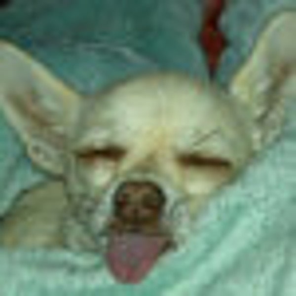 The Beatles, Cut File, SVG, EPS, JPEG Clean Lines, Ready for Your ...