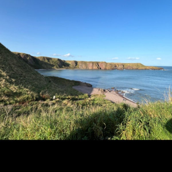 Mullet Catfish Digital Download - Etsy