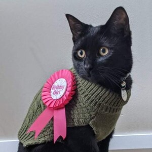 Pink Chronic Illness Health Symptom Tracking Journal undated/dietary ...