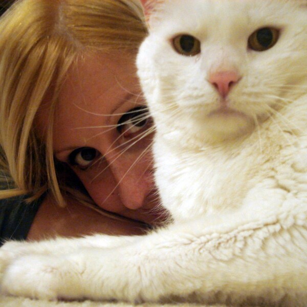 Valentines PTA Meeting Flyer Printable Winter Church Flyer Template Pto ...