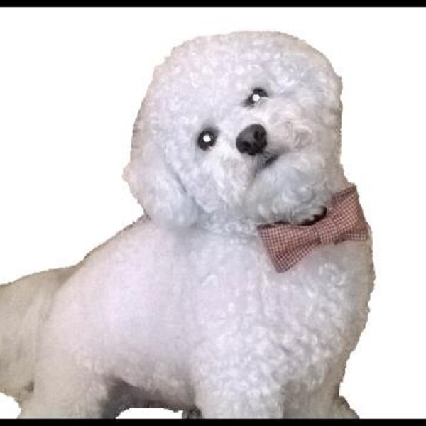 Bichon Frise Clipart. Puppies. Funny Dogs Clipart. Doggy Icons. SVG ...