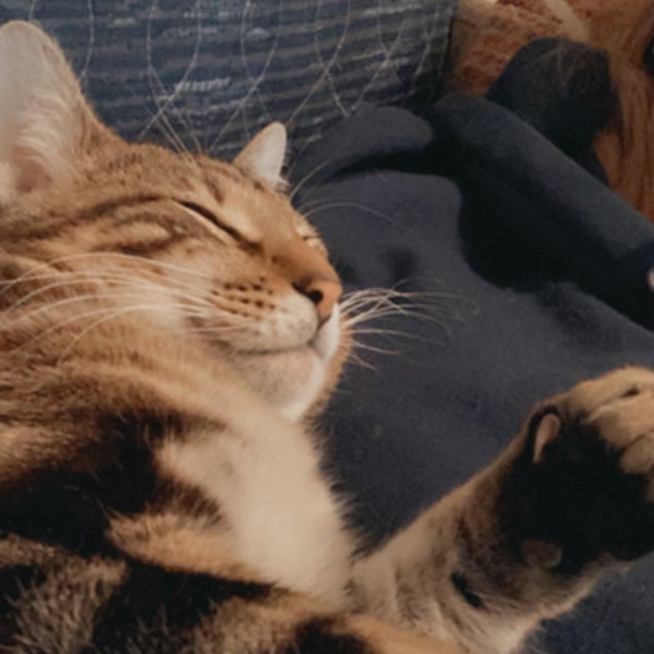 Disco Elysium Poster, Revachol Wall Art, Premium Canvas Print, Game Fan ...