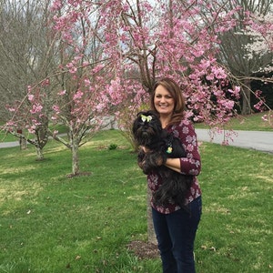 First Flake Quilt Pattern PDF Digital Download by Janae Shearer - Etsy