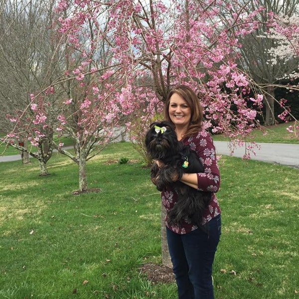 First Flake Quilt Pattern PDF Digital Download by Janae Shearer - Etsy