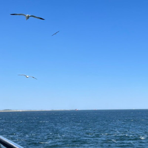 Samurai Katana JDM Oil Slick Sticker Oni Mask Anime Decal Japan Car ...