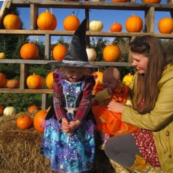 Under the Sea Bulletin Board Kit, Sea Animals Ocean Fish Nautical Theme ...