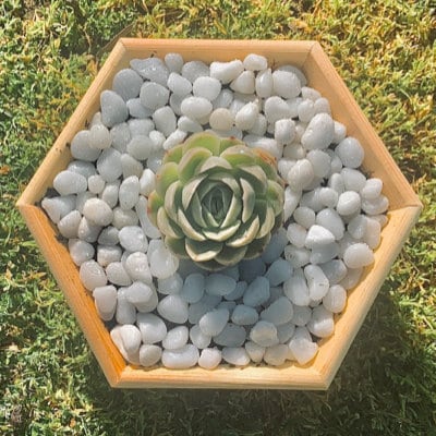 Charlene Cummins on Etsy