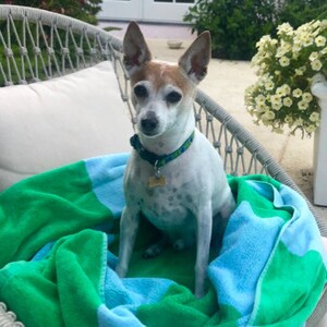 Indigo Fauna Kate Spade Dot Upholstery Fabric by the Yard - Etsy