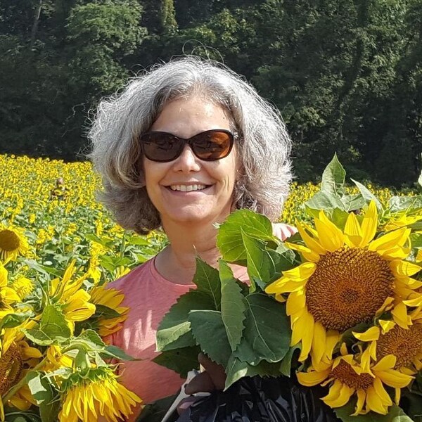 Cattle Knowledge, Breeds of Cattle Poster, Vintage Cattle Wall Art ...