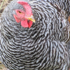 Infinity String Art Kit/heart/valentines - Etsy