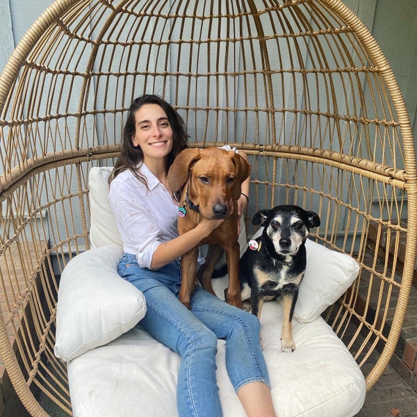 Lil Sebastian Print Parks and Recreation Limited Edition Art Print Pop ...