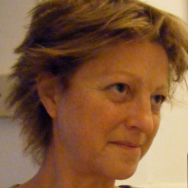 1963 COMMON WINDMILL BUTTERFLY Print Vintage Butterfly Art Insect Print ...