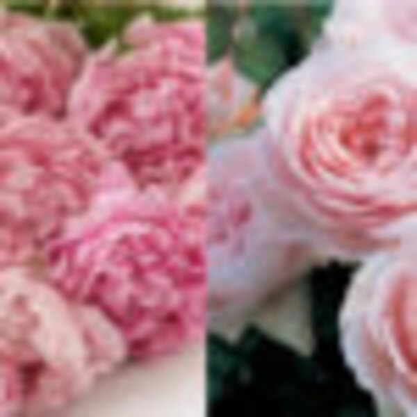 Stoney White Dash Self Adhesive Vinyl Vinyl Wraps for Furniture - Etsy