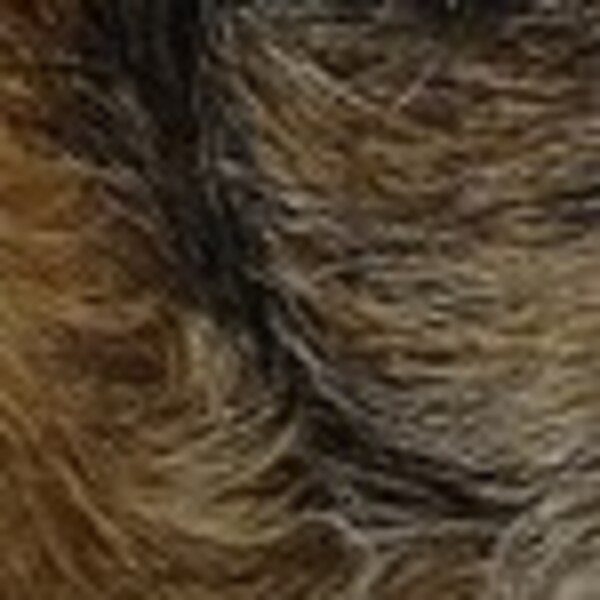 Thanks a Bunch Set of 8 Thank You Cards Vegetable Drawing Free Shipping ...